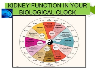 PROTECT YOUR KIDNEY.ppt