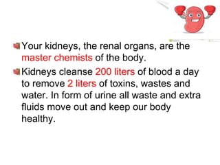 PROTECT YOUR KIDNEY.ppt