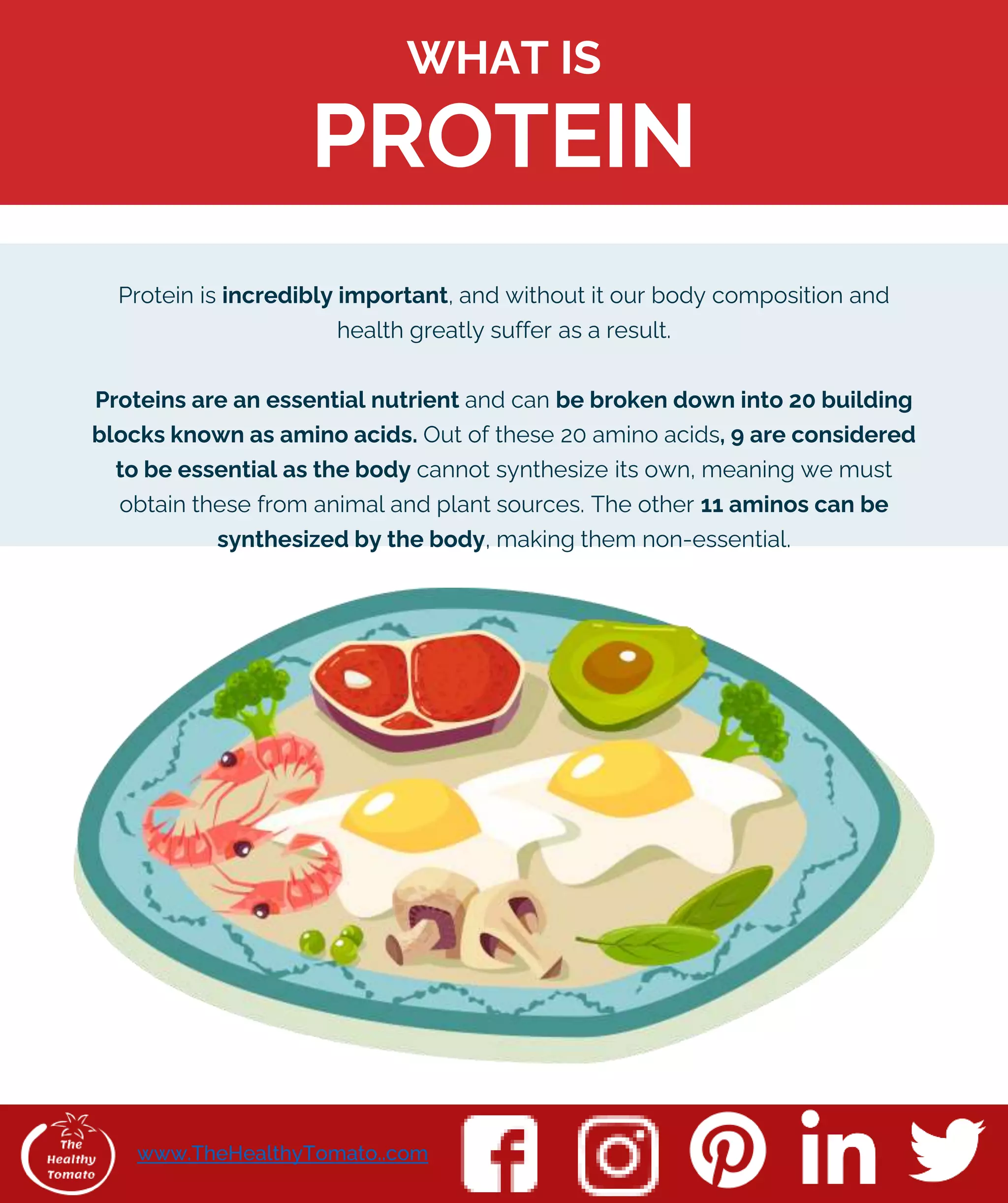 Protein 101 | PPTX