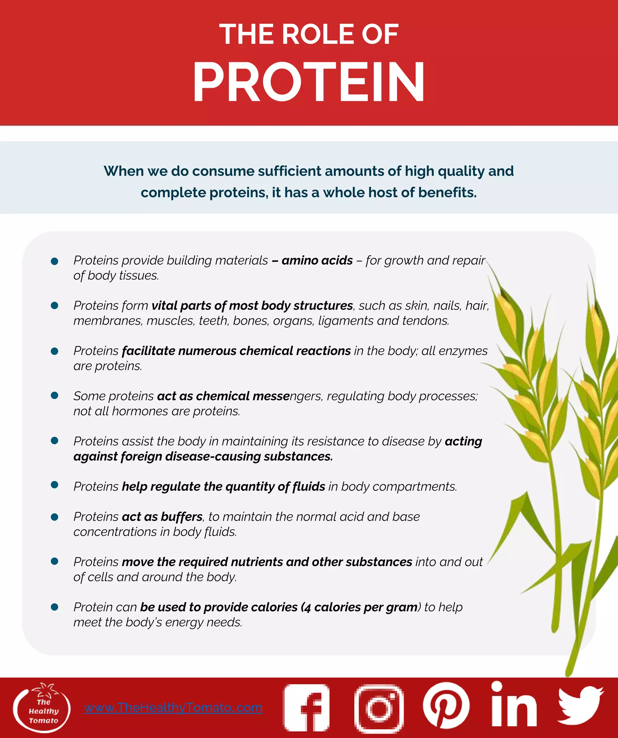 Protein 101 | PPTX