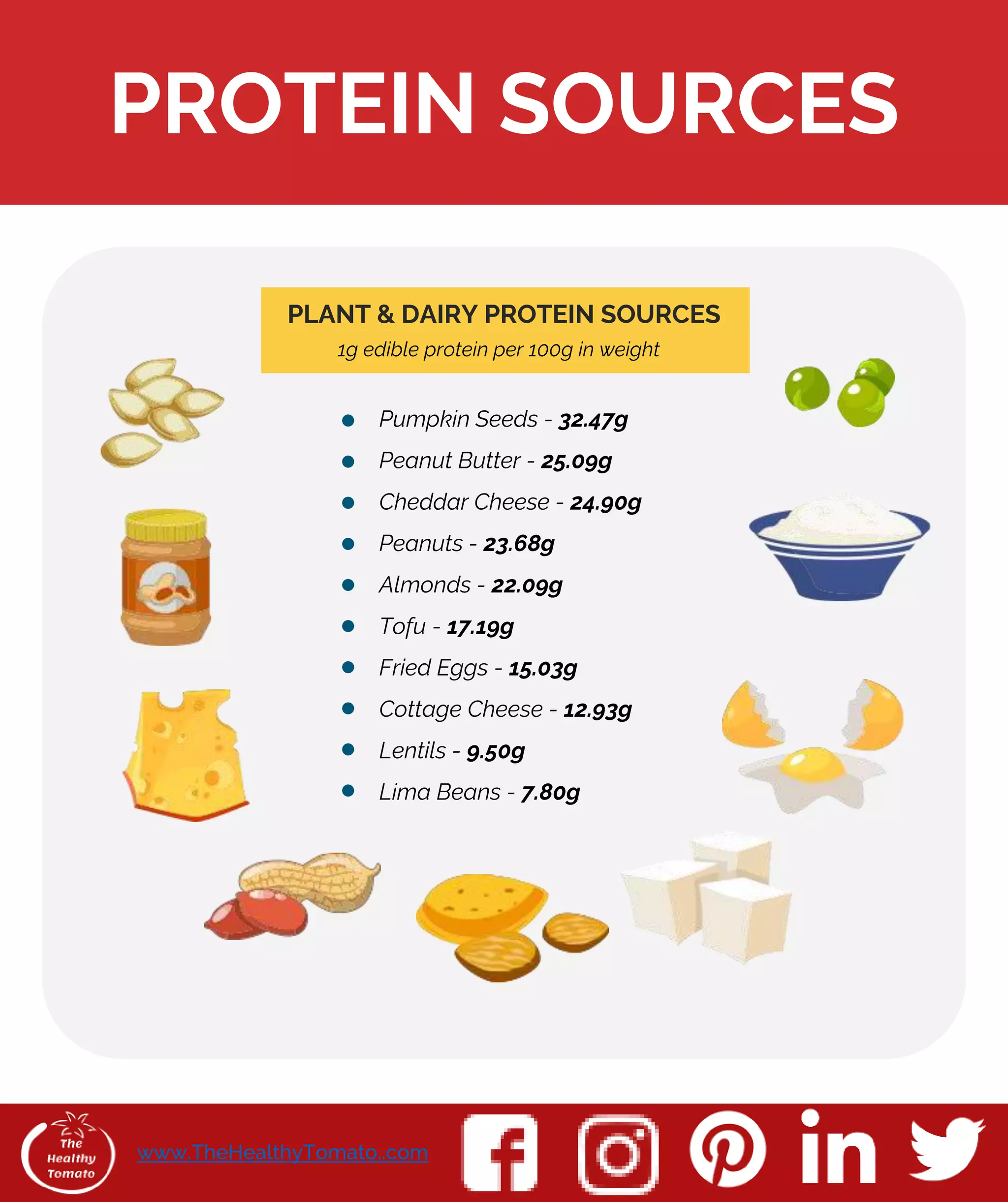 Protein 101 | PPTX