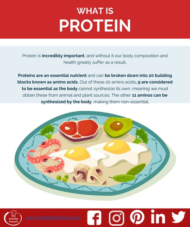 Protein 101 | PPTX