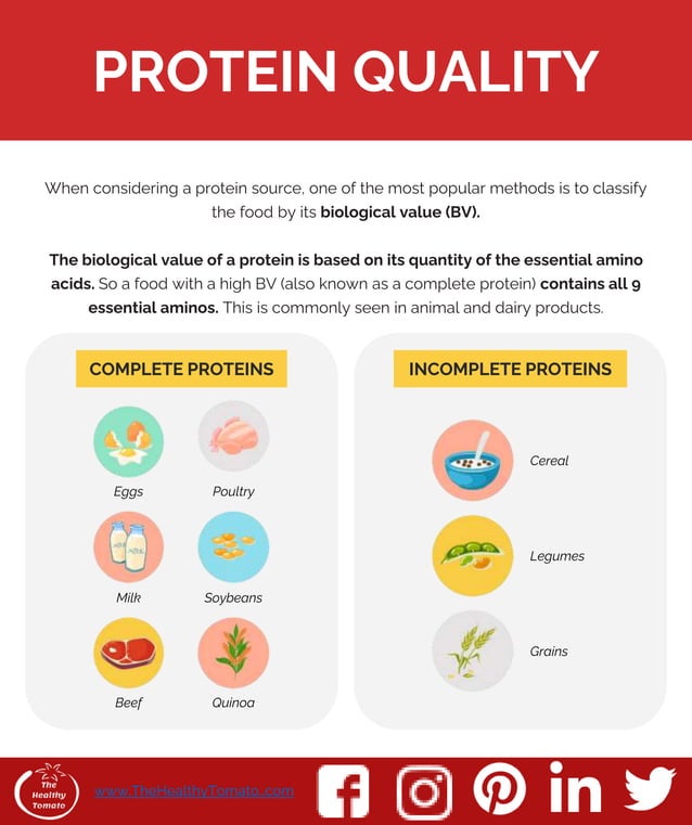 Protein 101 | PPTX