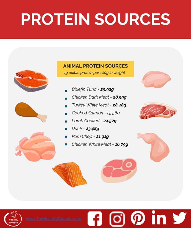 Protein 101 | PPTX