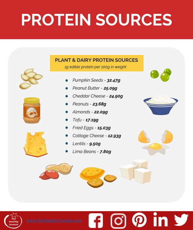 Protein 101 | PPTX
