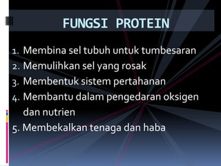Protein | PPTX