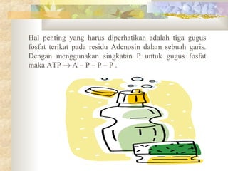 Protein | PPT