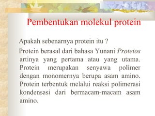 Protein | PPT