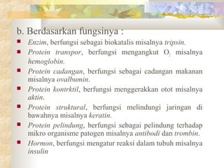 Protein | PPT