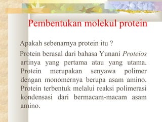 Protein | PPT