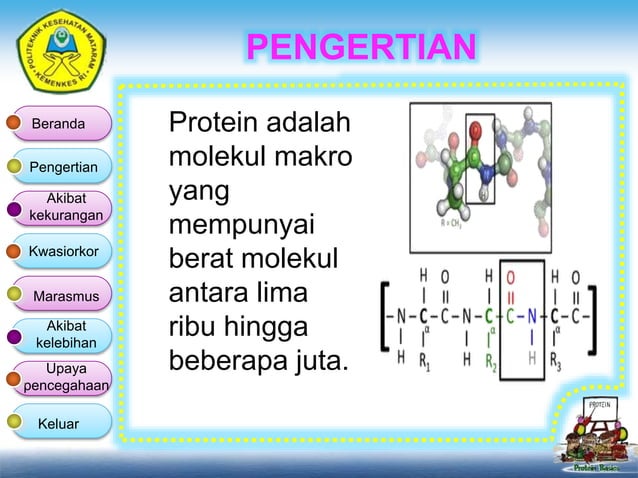Akibat Kekurangan dan Kelebihan Protein | PPTX