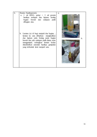 Protein | DOCX