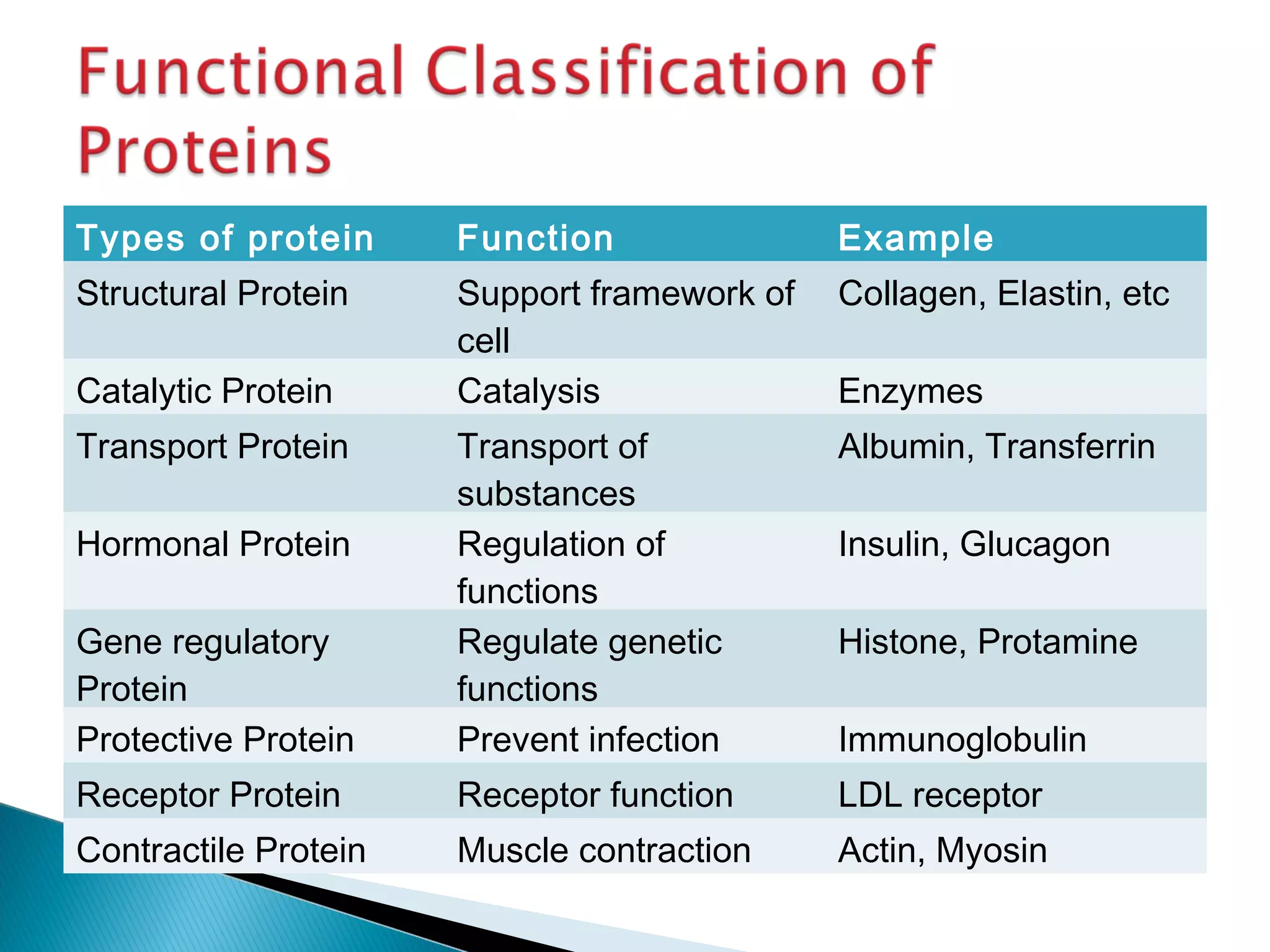 Amino acid & Protein | PPT