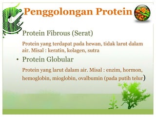 Protein | PPT