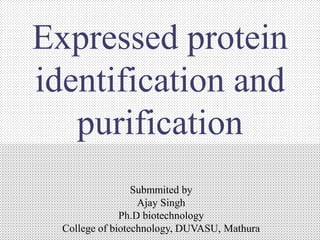 Protein | PPT
