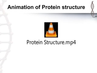 Protein Structure Animation Powerpoint