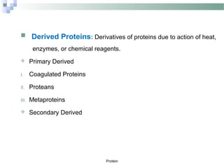 Protein | PPT