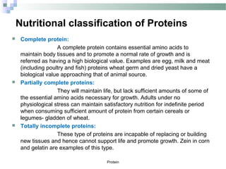 Protein | PPT