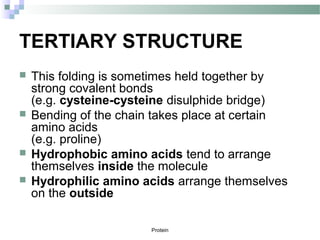 Protein | PPT