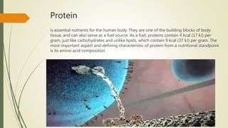 Protein (Nutrient) | PPTX