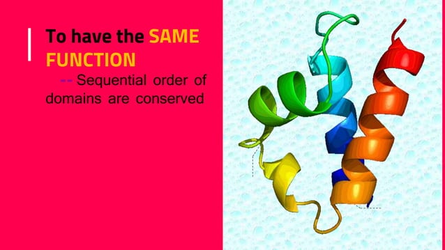 MODULAR NATURE OF PROTEINS | PPTX
