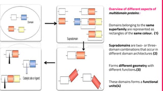 MODULAR NATURE OF PROTEINS | PPTX