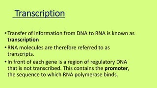 Protein synthesis | PPTX