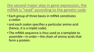 Protein synthesis | PPTX