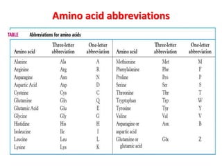 Amino Acid Abbreviations