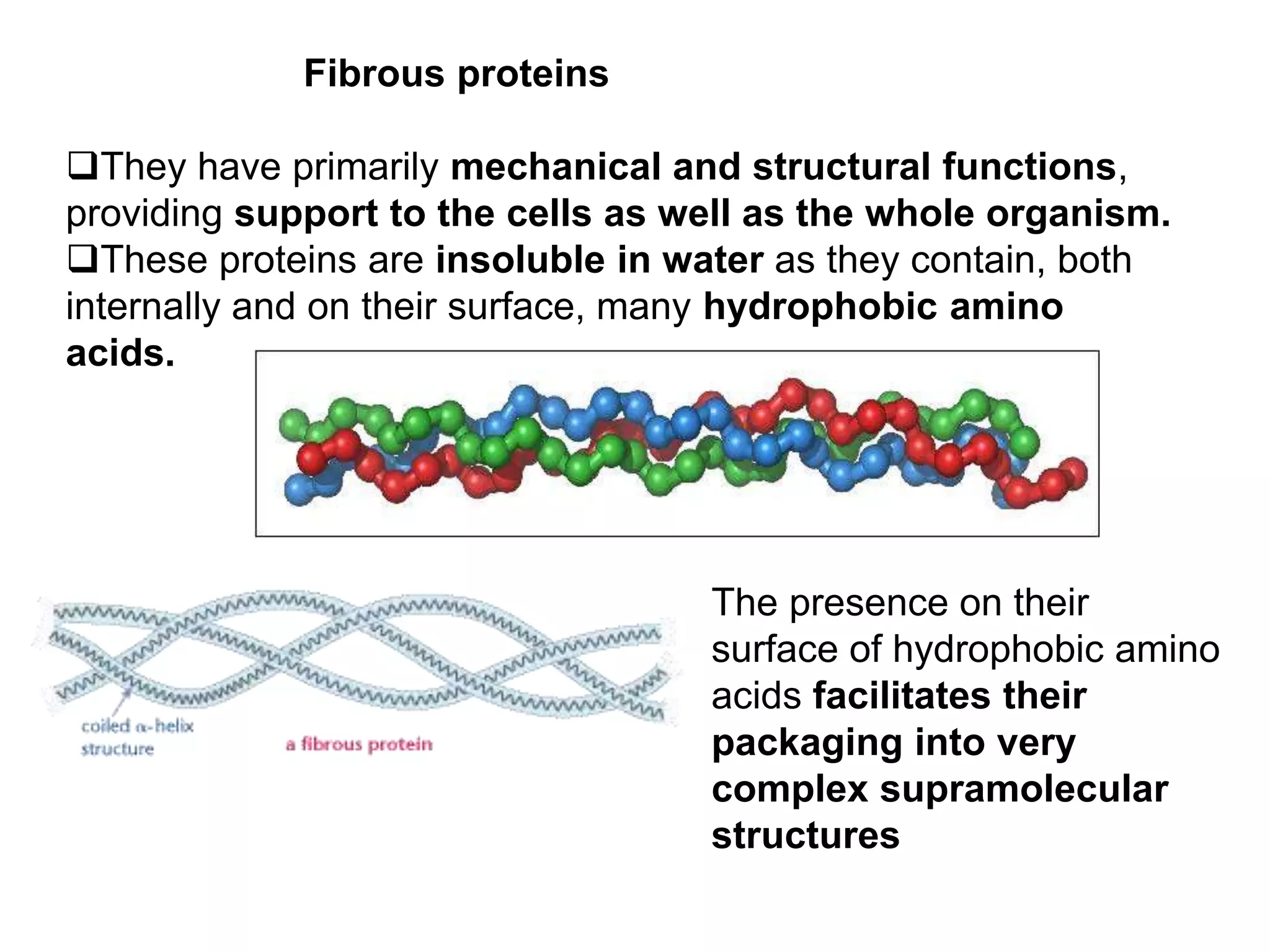 Protein in fishes | PPTX