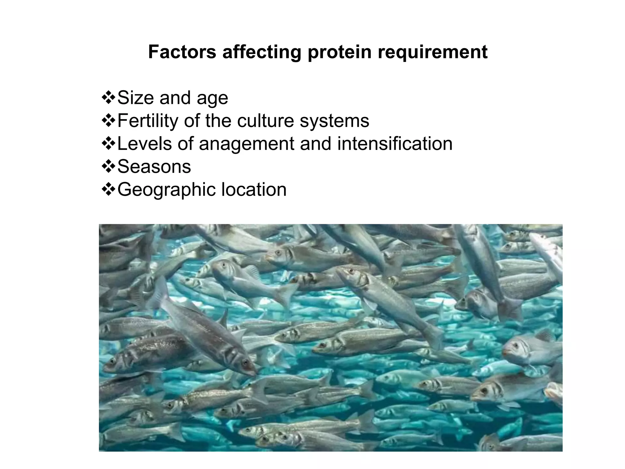 Protein in fishes | PPTX