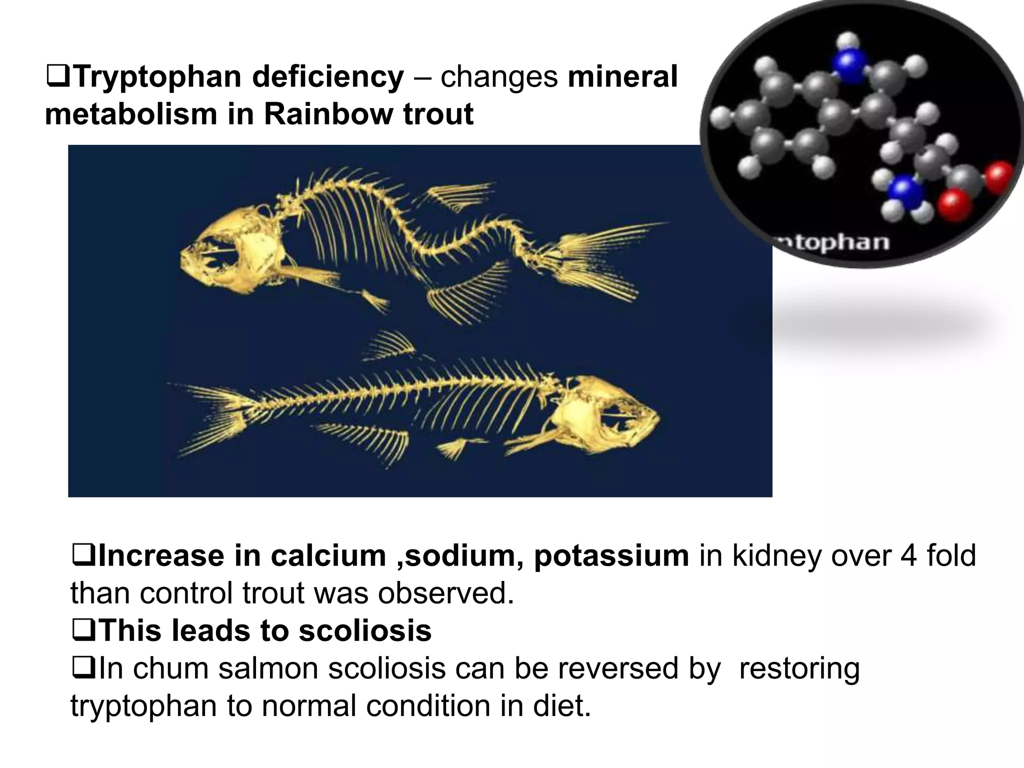 Protein in fishes | PPTX