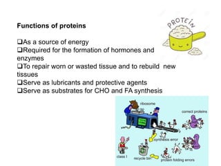 Protein in fishes | PPT