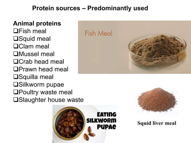 Protein in fishes | PPT