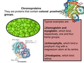 Protein in fishes | PPTX
