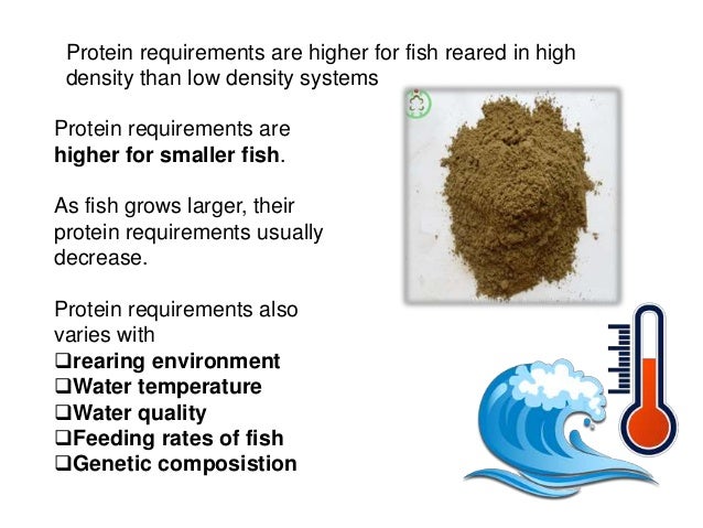 Protein in fishes