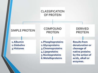 Protein | PPT