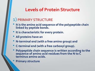 Protein | PPT