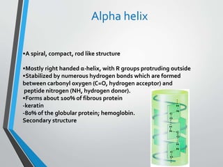 Protein | PPT
