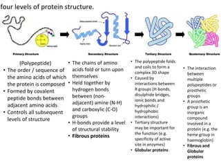 Protein | PPTX