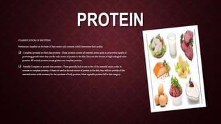 Protein | PPTX | Vegetarian Diets | Food & Drink