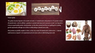 Protein | PPTX | Vegetarian Diets | Food & Drink