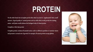 Protein | PPTX | Vegetarian Diets | Food & Drink