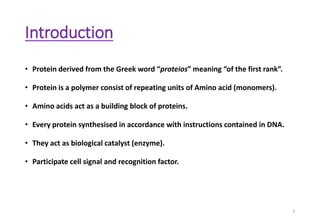 Protein | PPT