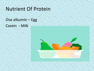 Protein | PPT