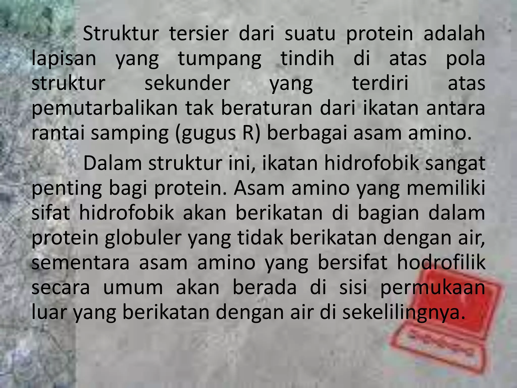 Protein alam yg bermanfaat | PPTX