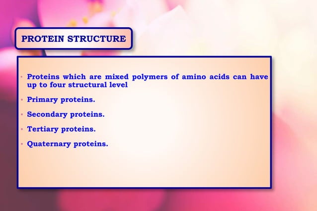 Protein | PPT