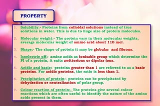 Protein | PPTX