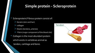 Protein ppt | PPT