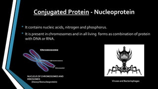 Protein ppt | PPT